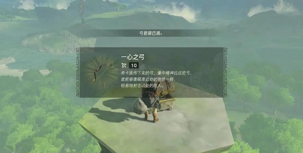 旷野之息一心之弓射程图标