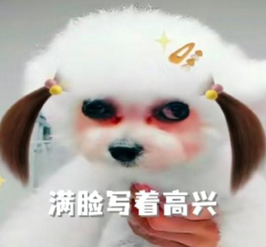 表情包最近很火图标