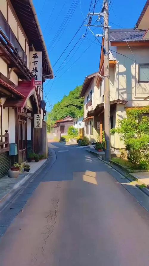 夏日的乡间生活
