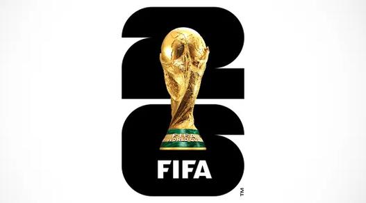 FIFA19生涯模式世界杯