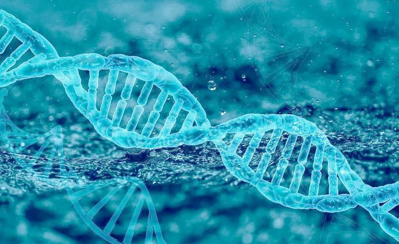 生物基因图标