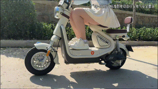 雅迪绿圈里有个电池标志图标