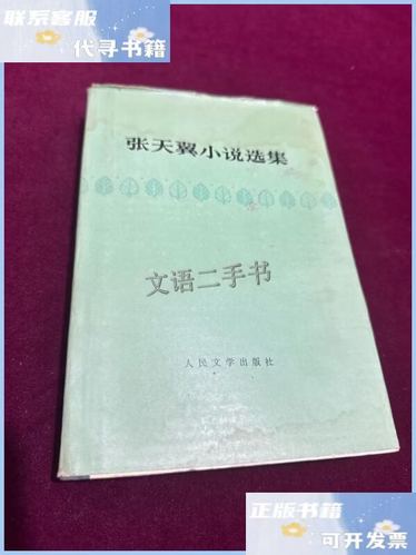 天翼小说中文