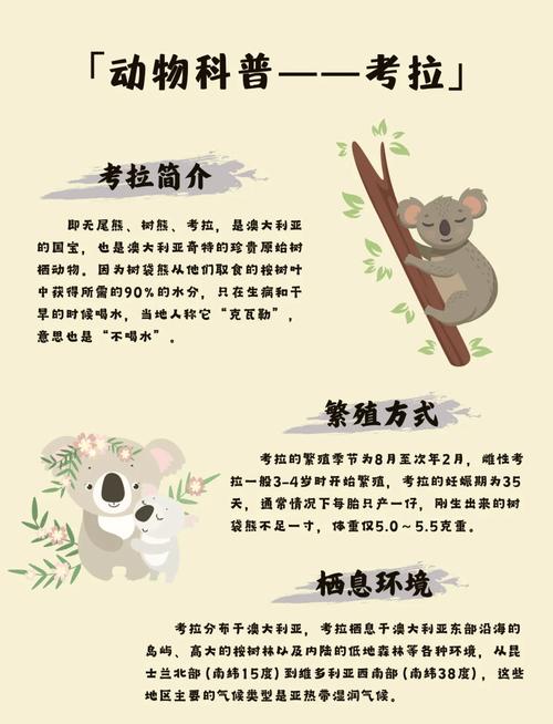 考拉原名图标