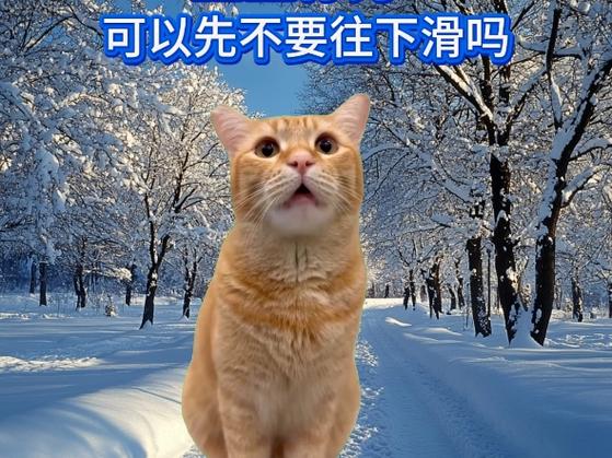 快乐猫视频截图