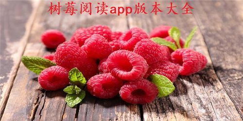树莓阅读小说下载新版本缩略图