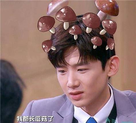 蘑菇是指哪个明星图标