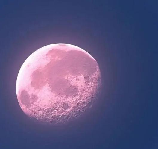 moon的中文意思