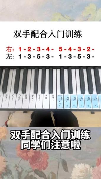 电子琴左手伴奏最简单的弹法图标