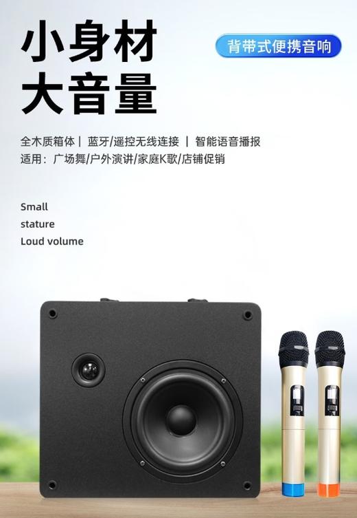 飞达音响售后电话截图