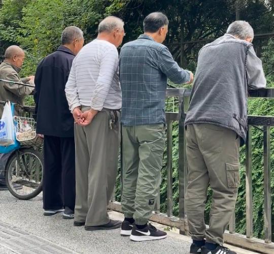 迪图一般什么人穿截图