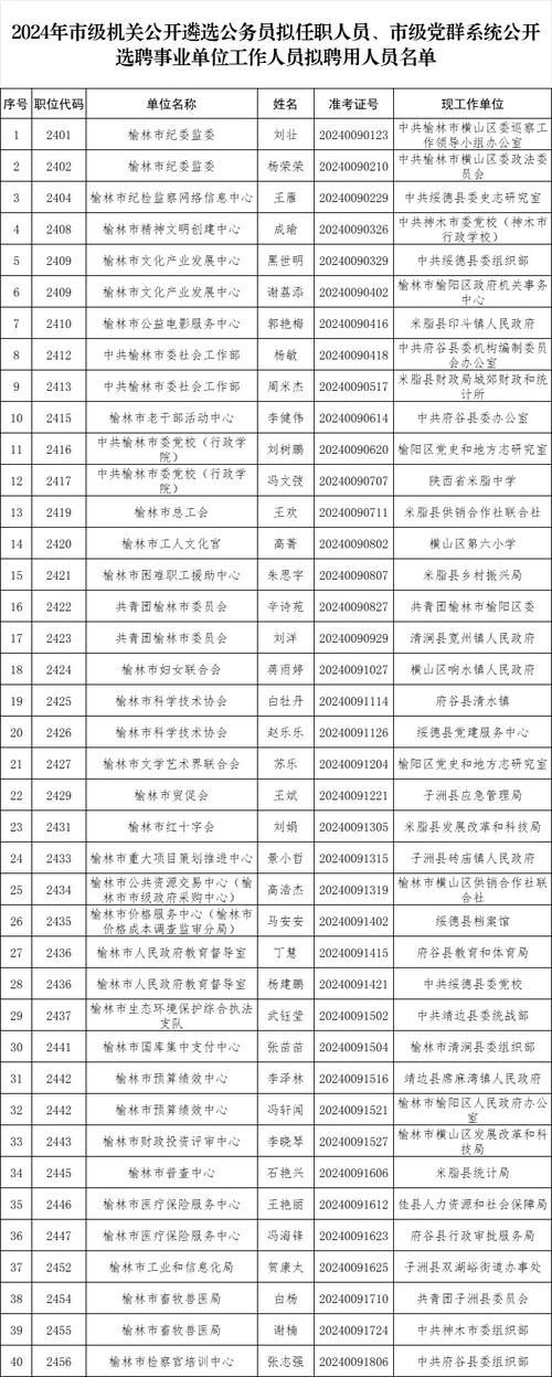 沧州飞升,代码大全图标