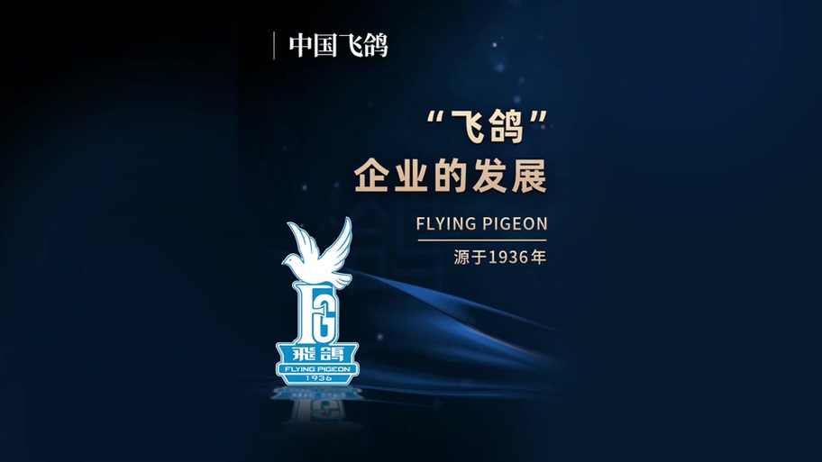 中国飞鸽贴牌是真的吗截图