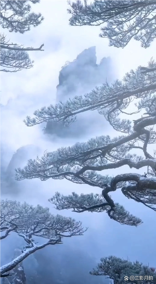 雪景拍摄技巧图标