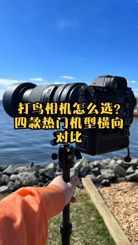 目前打鸟最优秀的相机截图