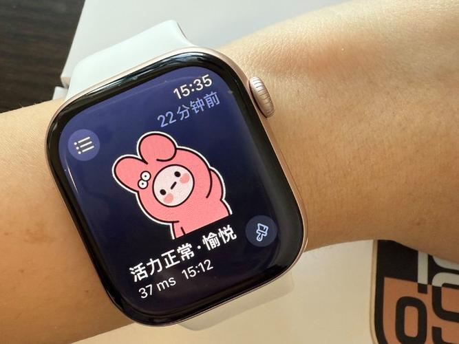 watch10怎么和手机配对图标