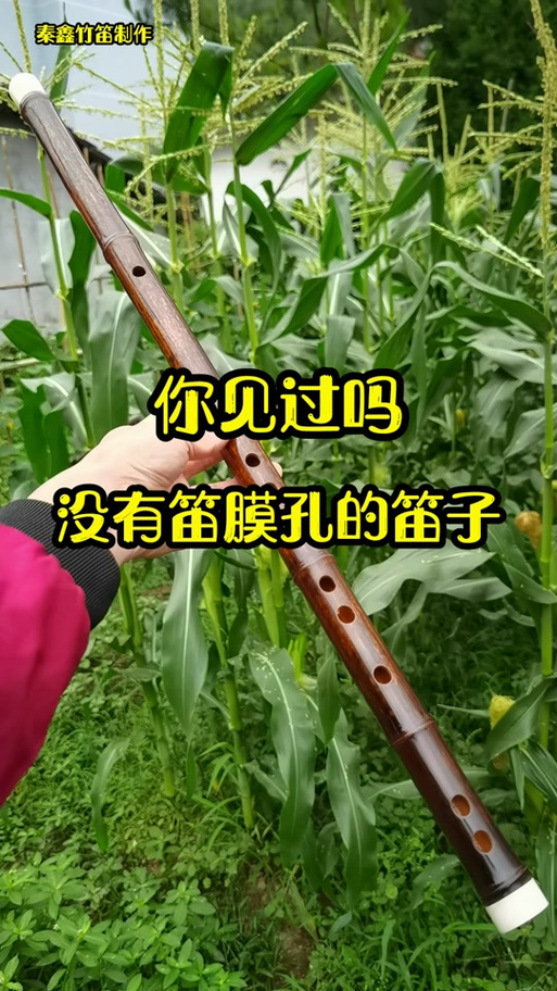 无膜笛难吹吗