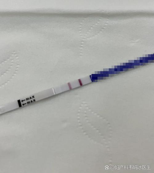 测试纸怎么看图标