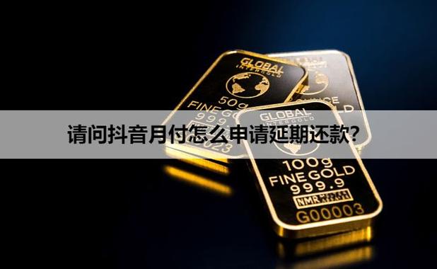 抖音月付申请延期还款截图