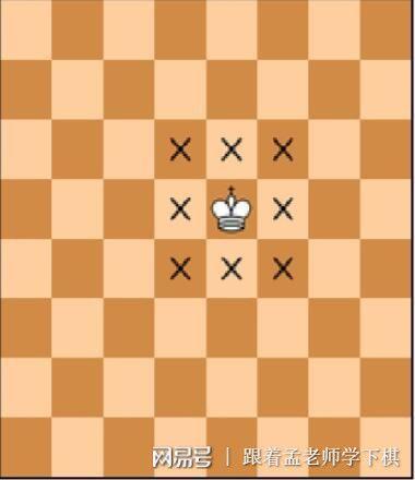 国际象棋王的走法图标