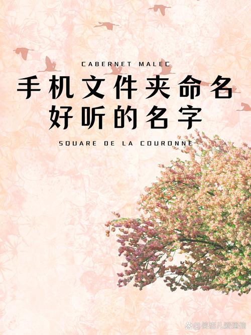 手机微信照片文件夹叫什么名字来着图标