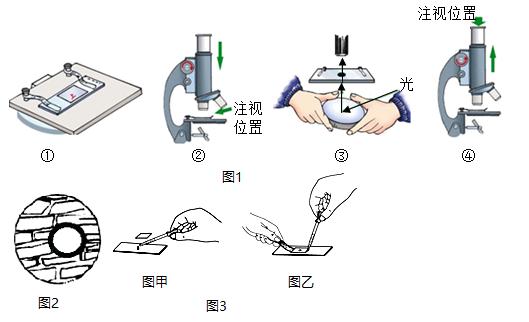 显微镜的使用方法七步图标