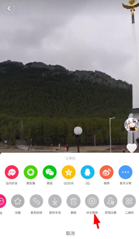 怎么用自己的视频做主题截图