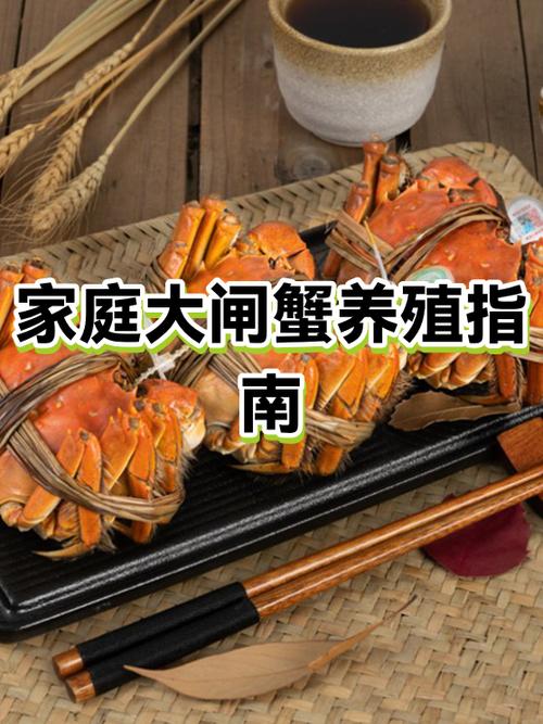 螃蟹找回真的有人管吗图标