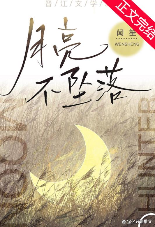 月亮不坠落小说全文免费阅读图标