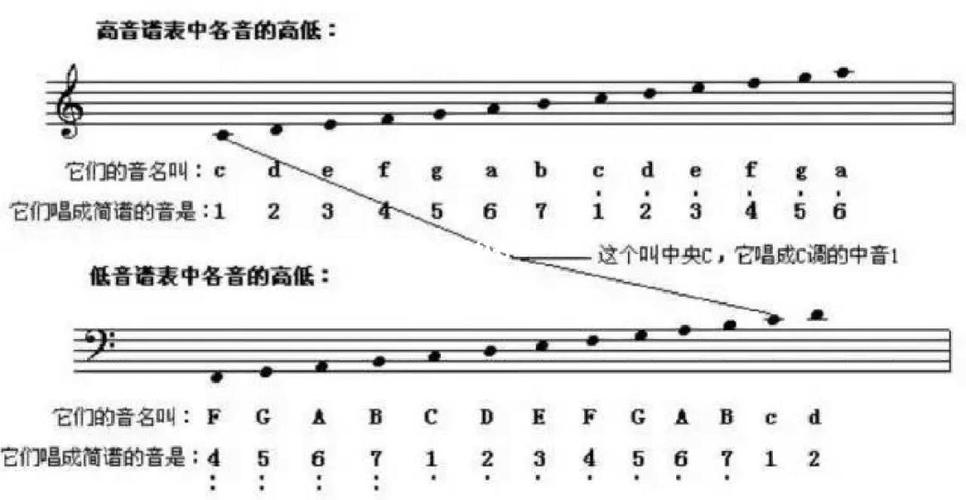 高中低音的划分标准截图