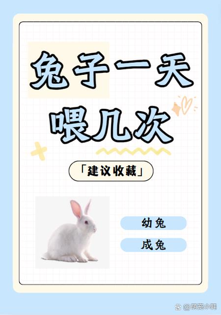 75兔男最难熬的年龄