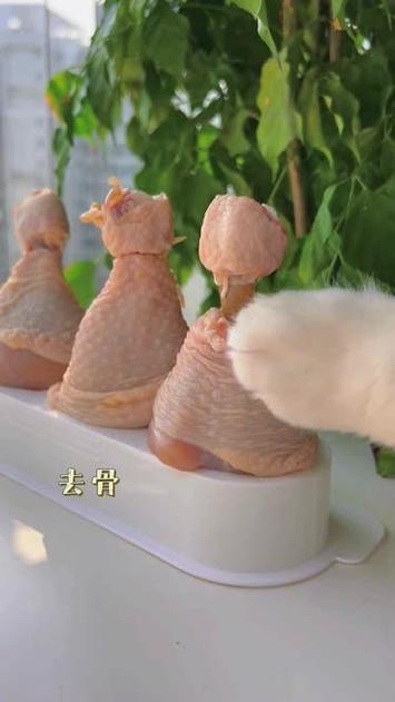 中华厨猫截图