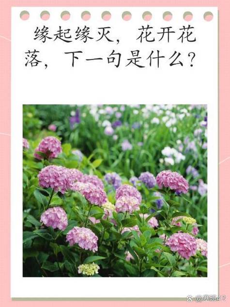 刘小念短篇小说《缘分》全文图标