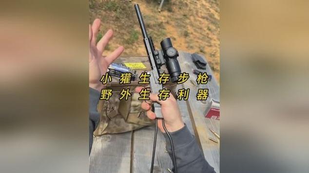 野外生存步枪截图