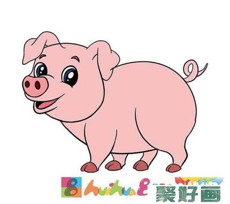 小猪怎么样涂色图标