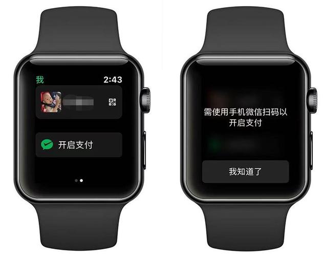 苹果手表4独立微信图标