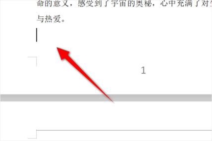wps如何整页复制word页面图标