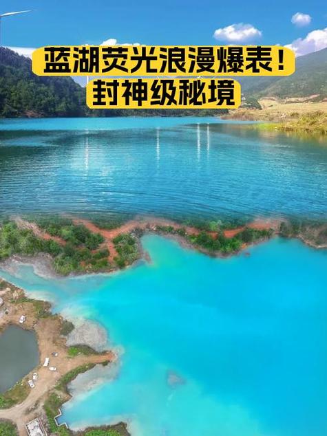 蓝湖网页版截图