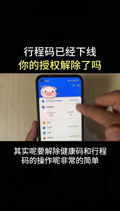 手机绑定了别人的健康码怎么解绑微图标