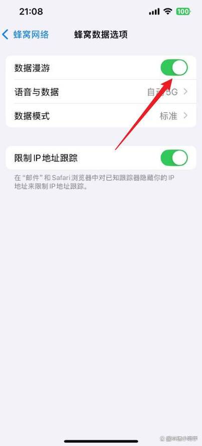 苹果手机漫游在哪里开图标