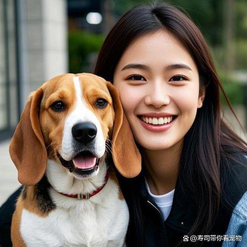 最强萌宠截图