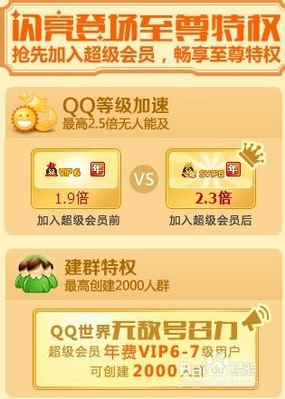 qq大会员情侣铭牌图标
