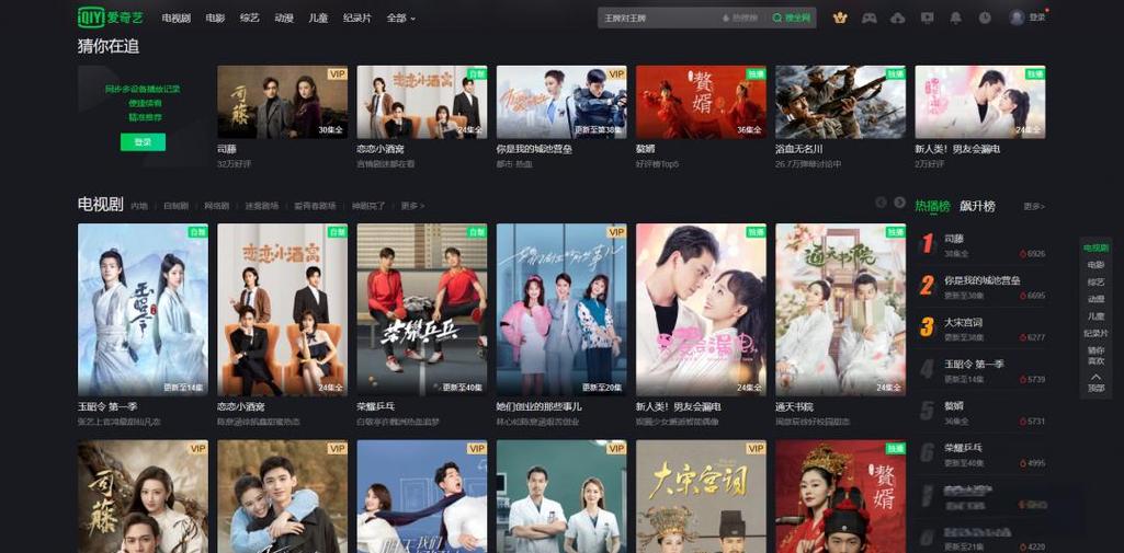 vip格式的视频怎么播放图标
