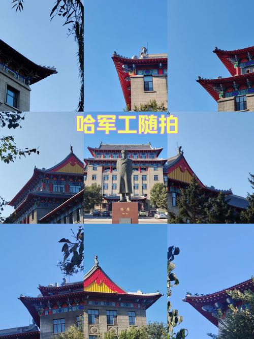 哈军工沈毅的简历图标
