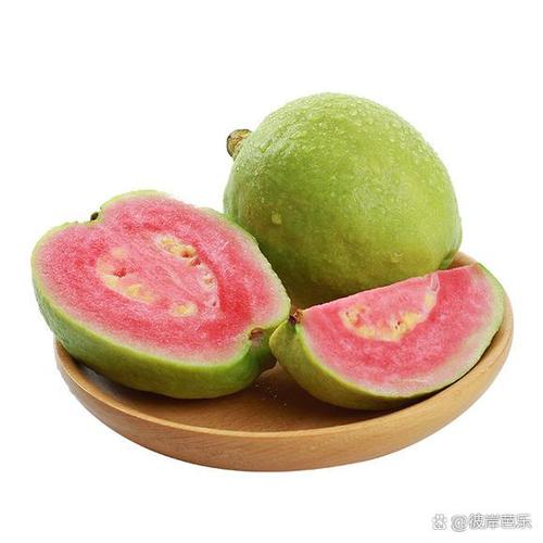 巴乐是什么水果?图标