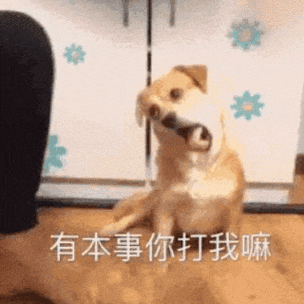 2025最火表情包图标