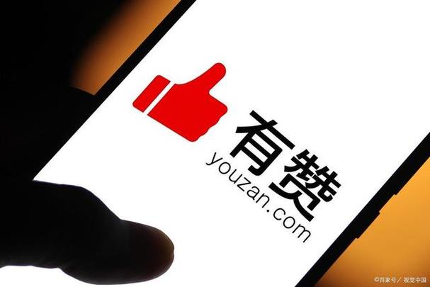 有赞平台图标