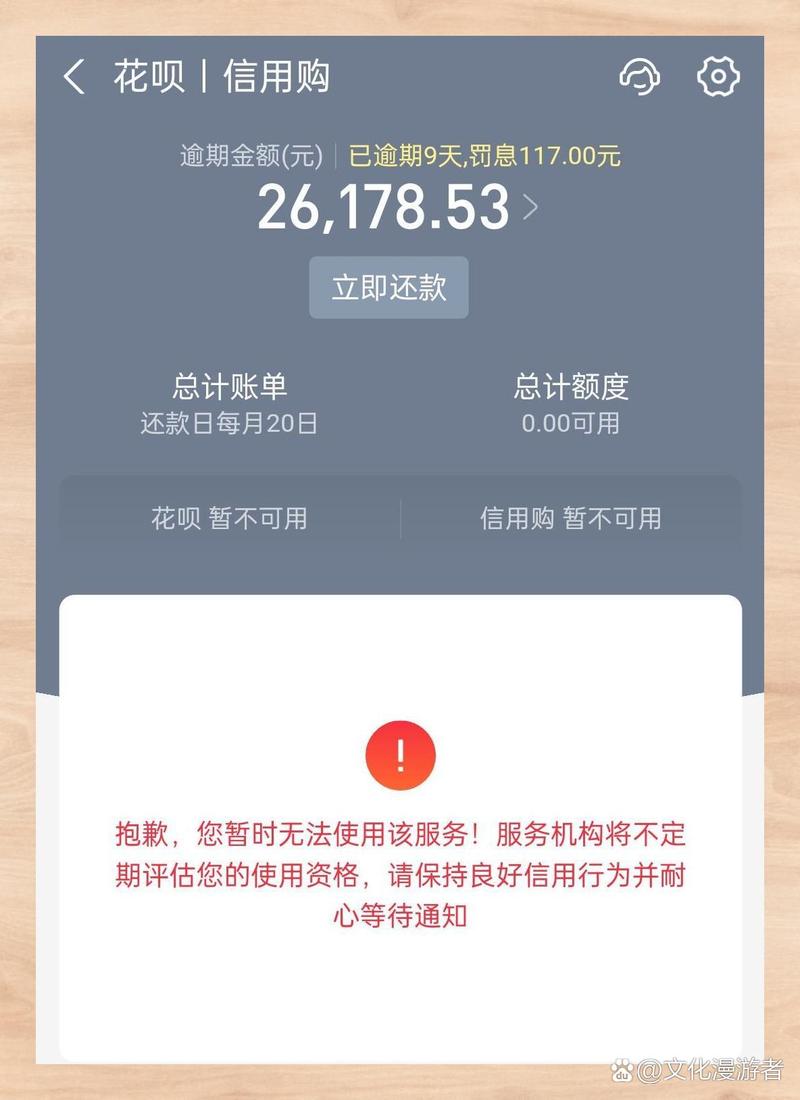 小菜花逾期图标
