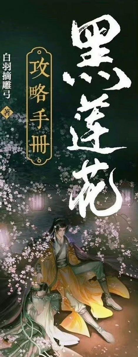 《黑莲花攻略手册》txt图标