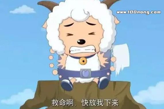 害怕挠痒痒的喜羊羊动画片